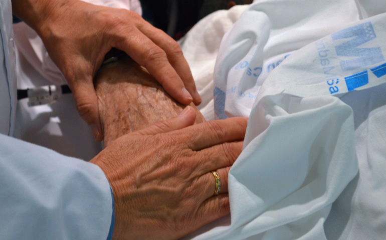 Manos que acompañan - Alfa y Omega