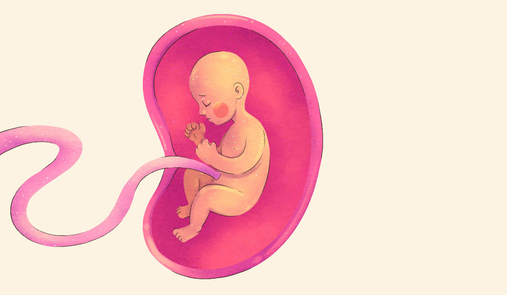 ¿Aborto para todos? - Alfa y Omega